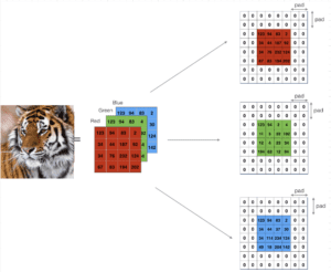 Convolutional Neural Network: A Complete Guide