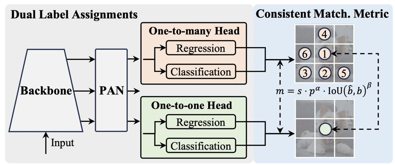 Fine-Tuning YOLOv10 Models on Custom Dataset