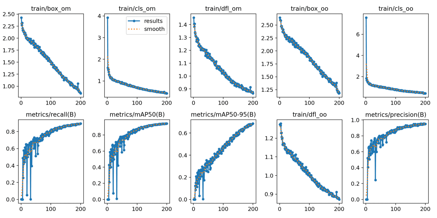 Fine-Tuning YOLOv10 Models on Custom Dataset
