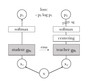 Exploring DINO: Fine Tuning DINO Self-Supervised Learning Road Segmentation