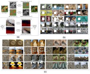 Exploring DINO: Fine Tuning DINO Self-Supervised Learning Road Segmentation