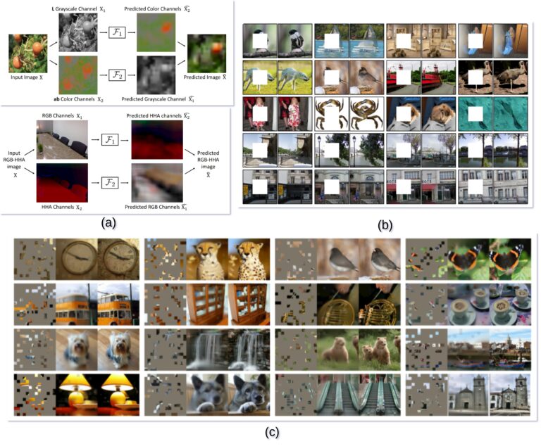 Exploring DINO: Fine Tuning DINO Self-Supervised Learning Road Segmentation